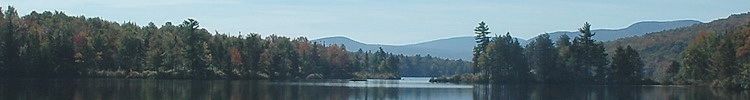 Lake Armington Association