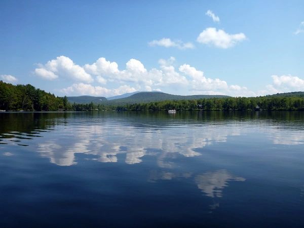 Lake Armington Association