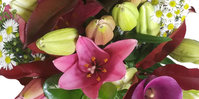 Products | Floral Sense, Inc.