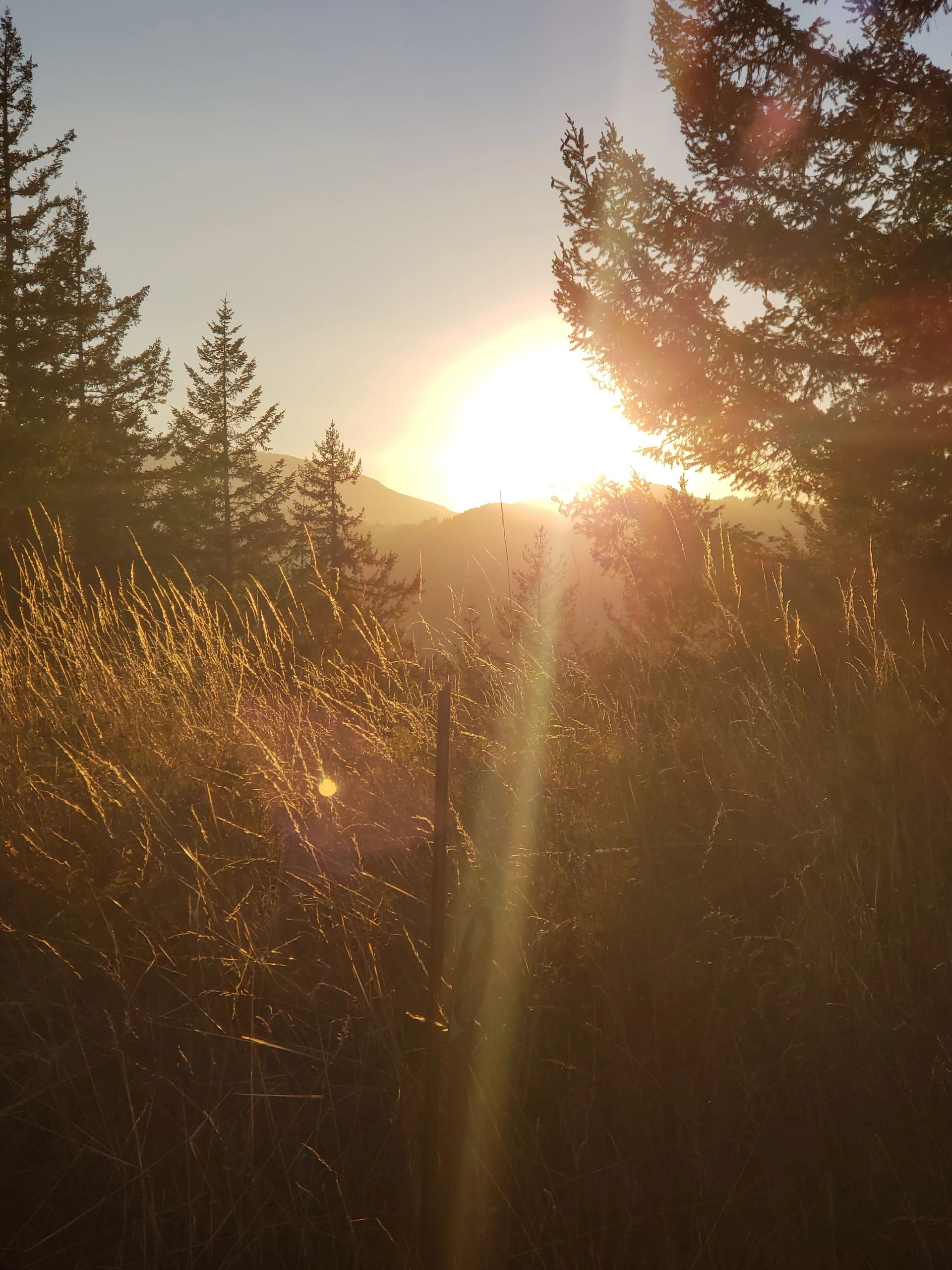 Michael W. Trevathan