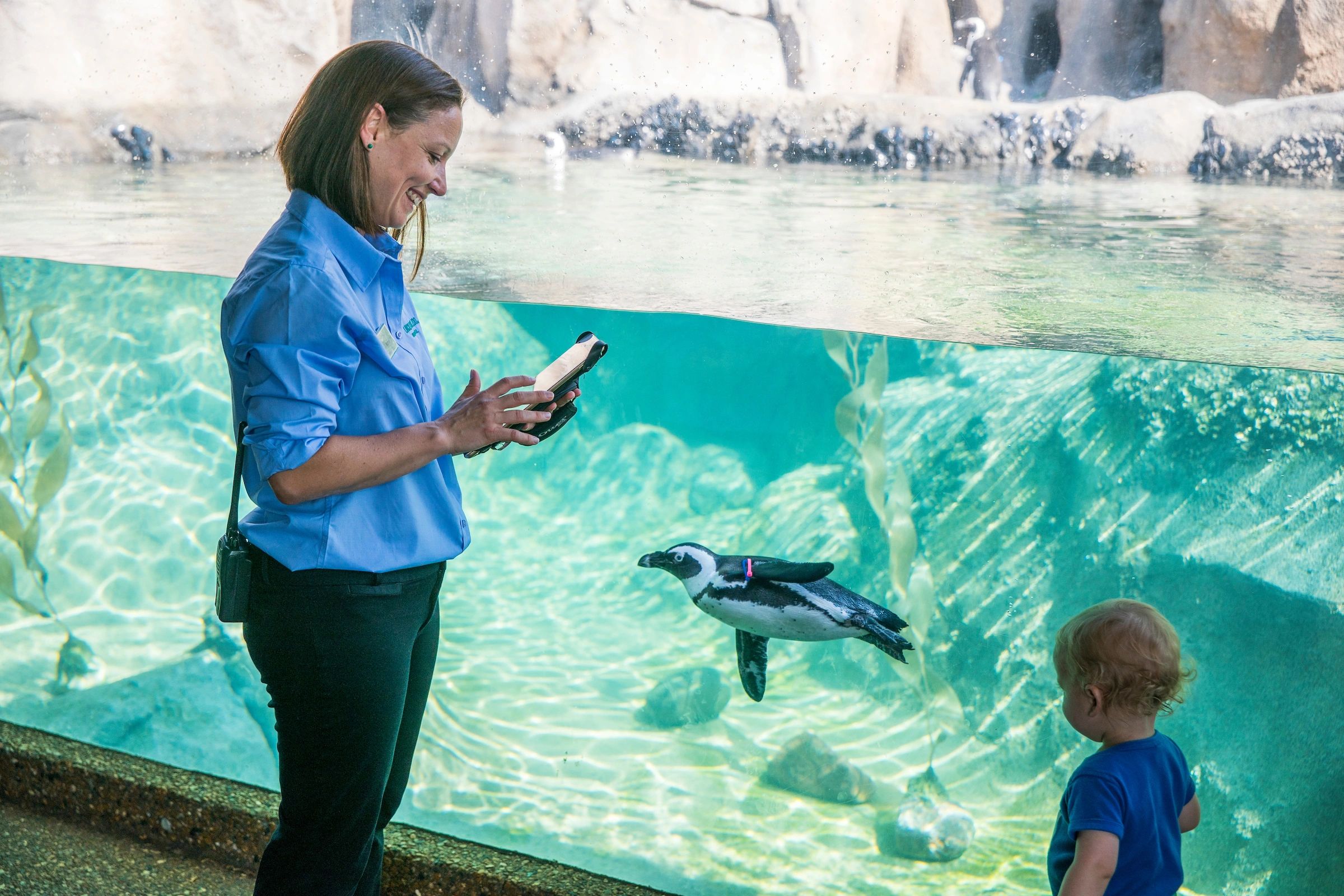 The Science & Tech of Lincoln Park Zoo