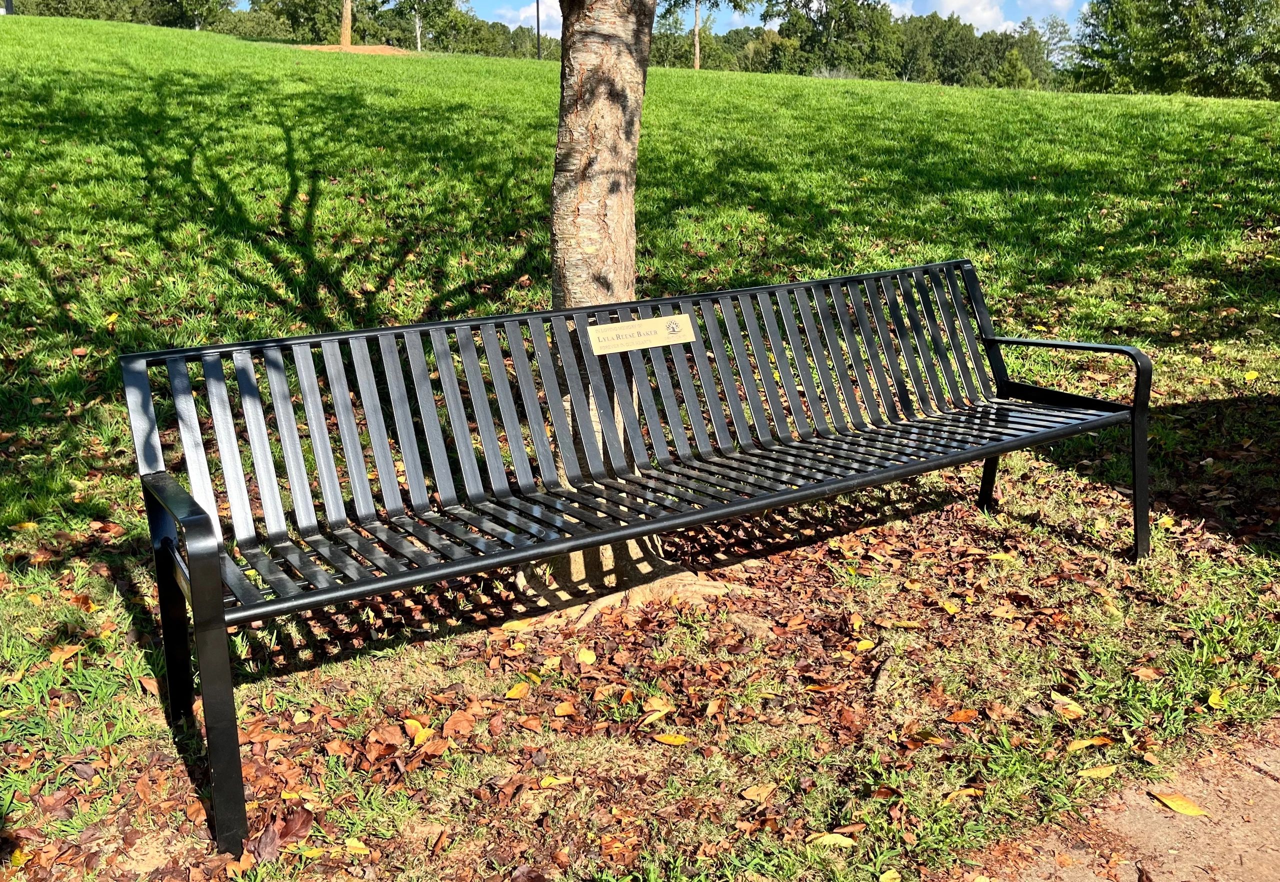 Forsyth County Parks Foundation - Parks, Recreation