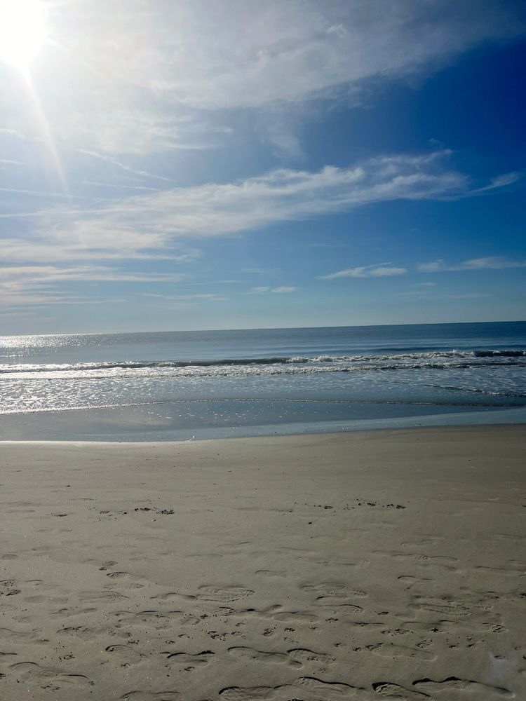 Shady Beach Rental SSI - Your One-Stop Shop for Beach Supplies