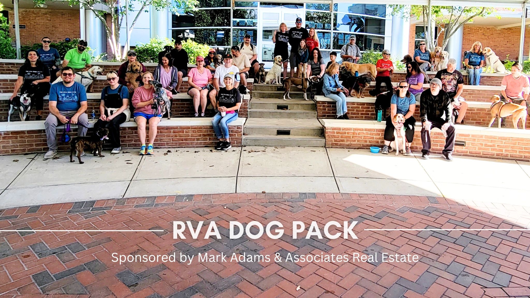 Dog, Pack Walk - RVA Dog Pack - Richmond, Virginia