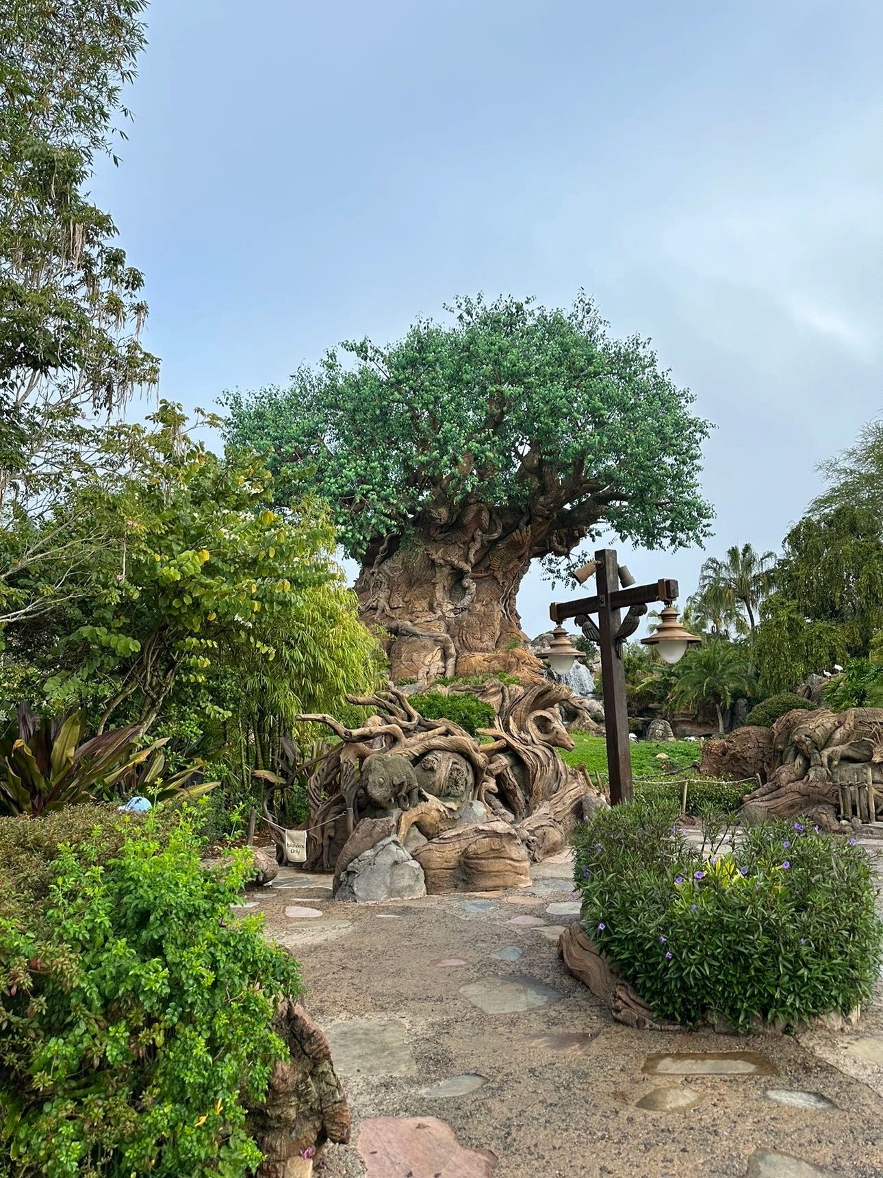 Honest Review From A First Time Disney Goer