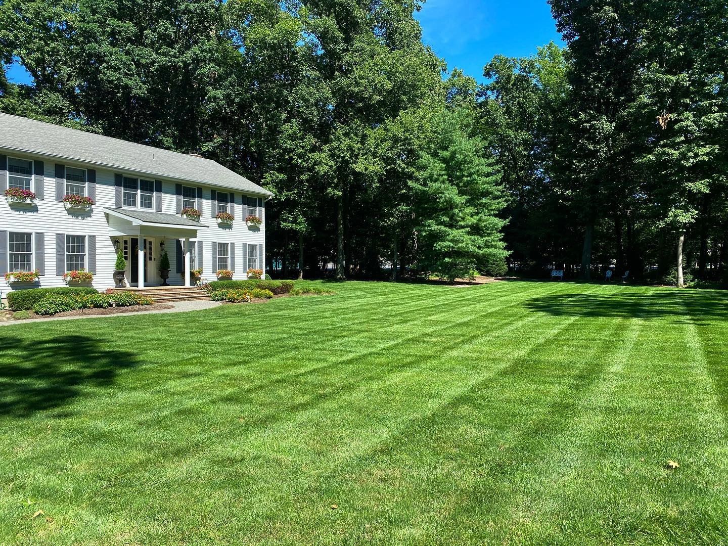Lawn Care Program