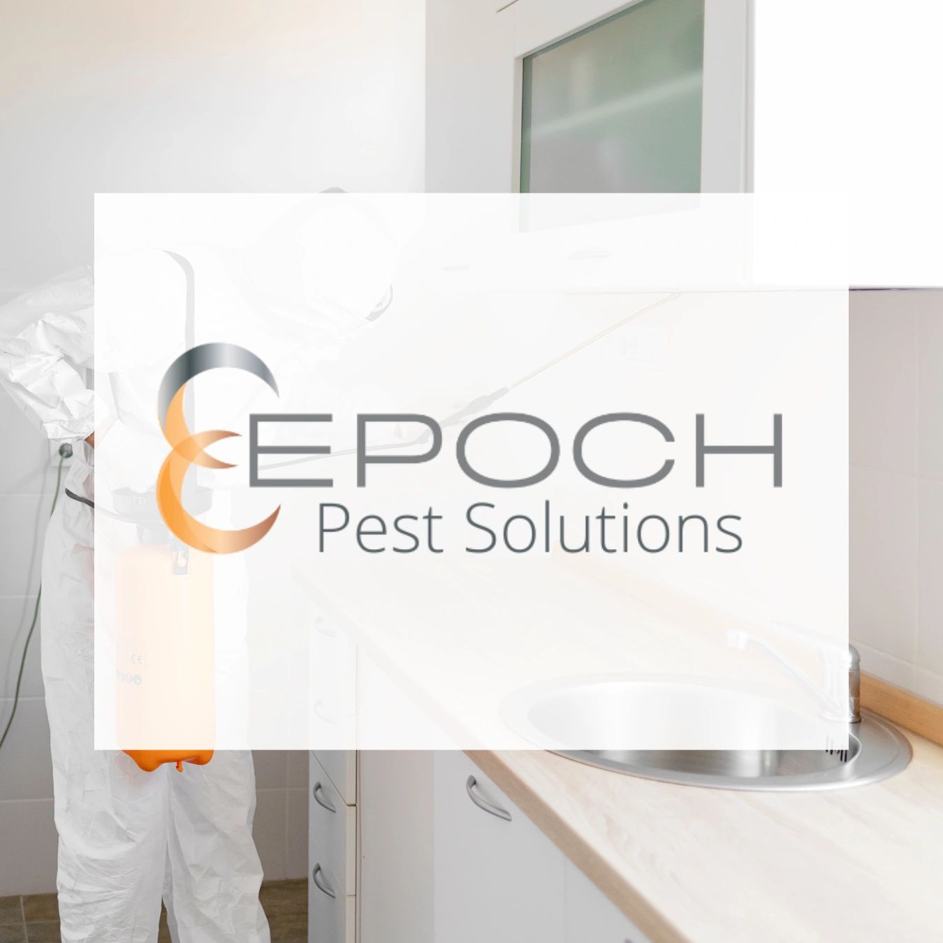 Expert Pest Control Services | Pest Solutions Specialists