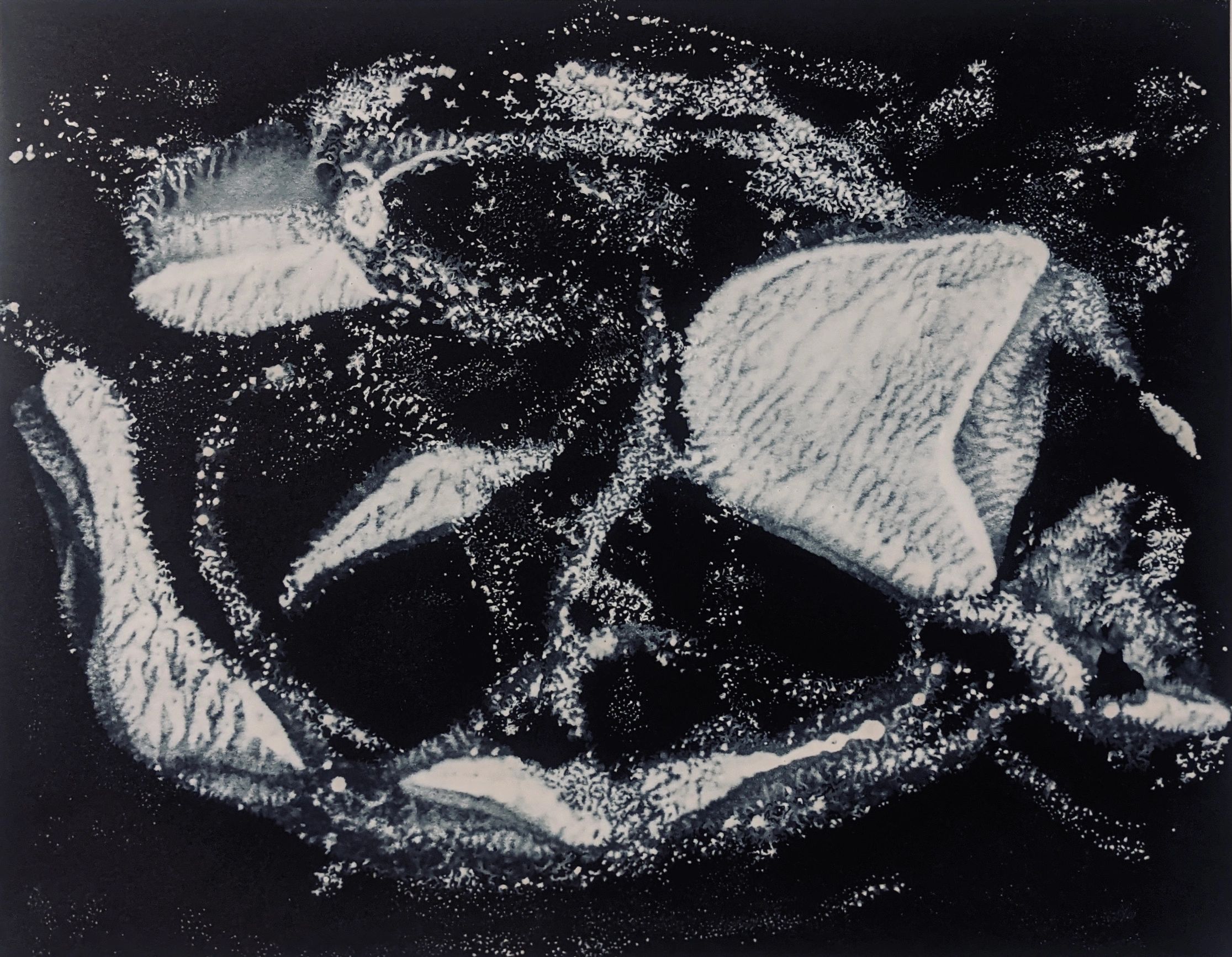 Monotype Mini-Open Studio Night Class