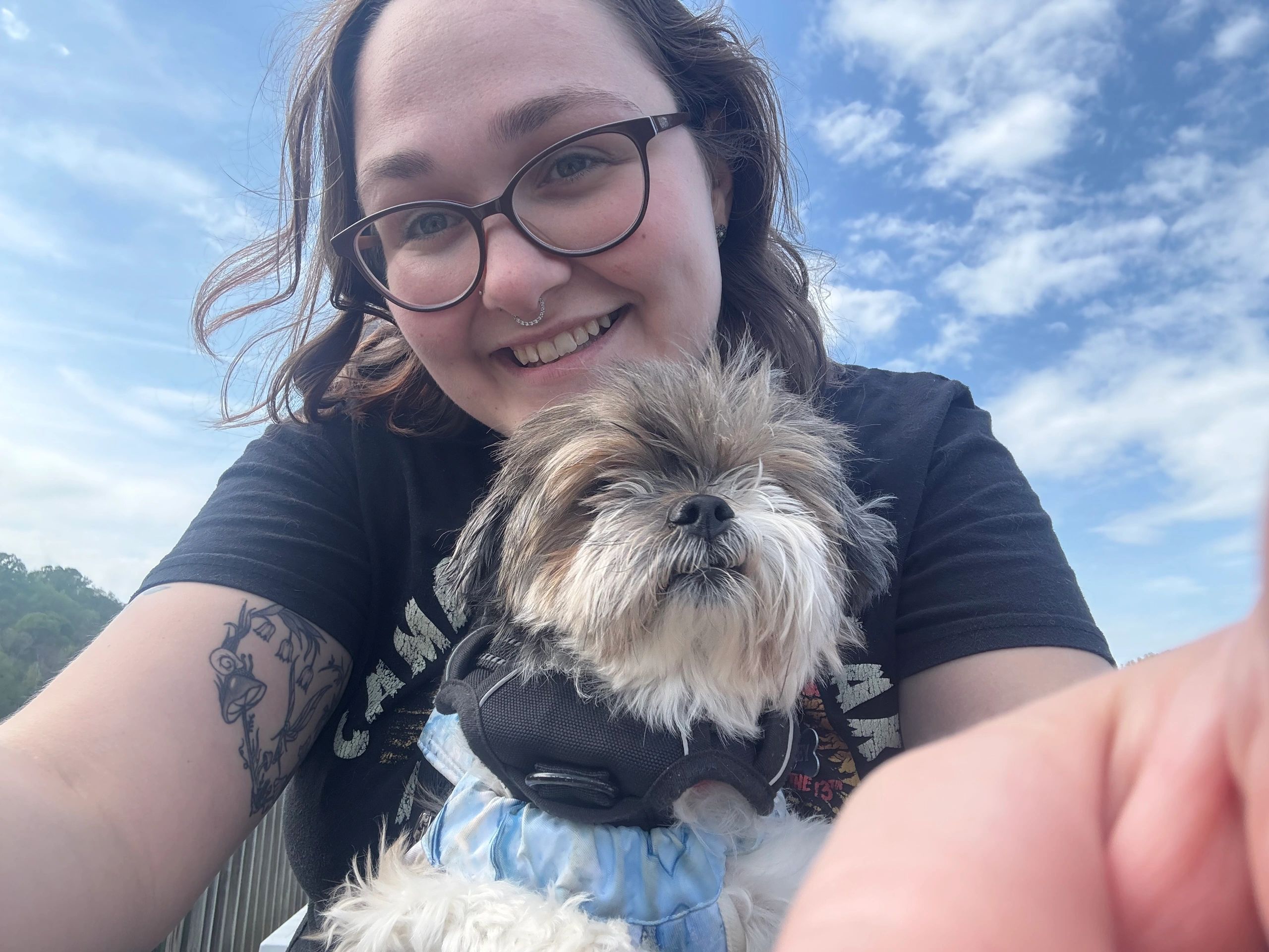 Say Yes to the Pets