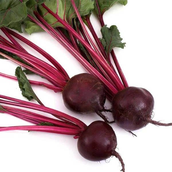 Early Wonder Beet Seeds