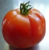 Mega Tom Tomato