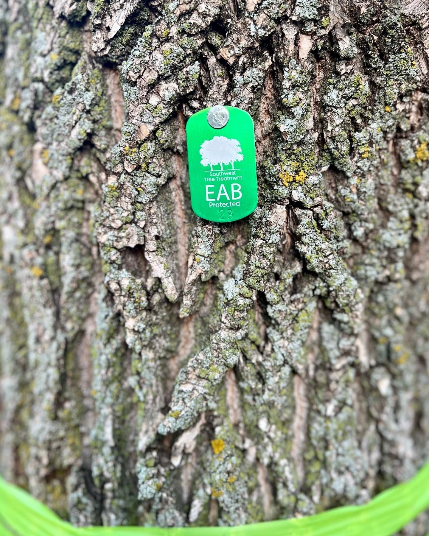 Professional EAB Treatment and Tree Treatment Services