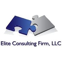 Elite Consulting Firm
