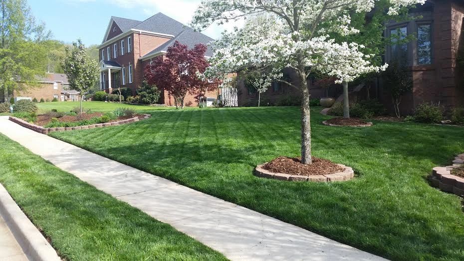 Webb Landscape Solutions - Landscape, Lawn Maintenance