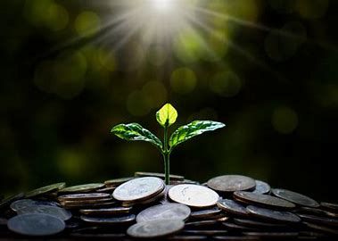 Case Studies | Anamat