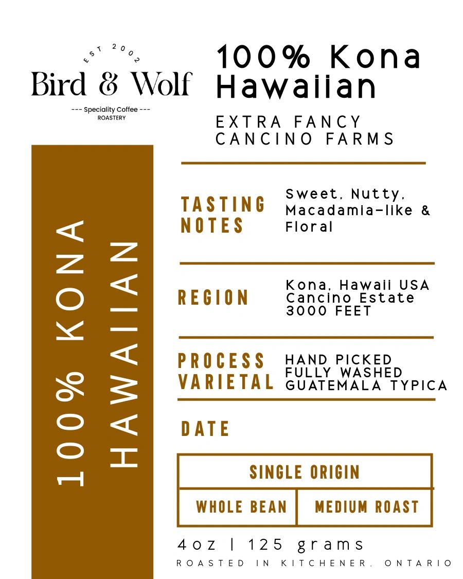 100% Hawaiian Kona Extra Fancy - Single Origin 4 Ounces/ 125 grams ...
