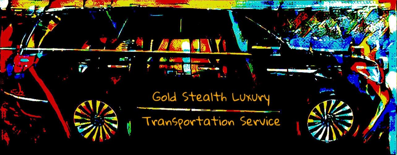 Home [goldstealthny.com]