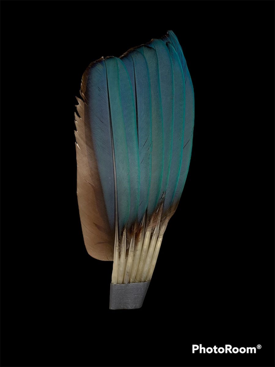 Macaw Feather Fan Set ( 7 pc) (Mac-14)