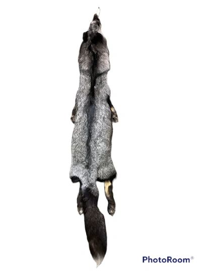 Ranch Silver Fox Pelt w/feet #1 Taxidermy/ Soft Mounts (NEW) (SF-10)