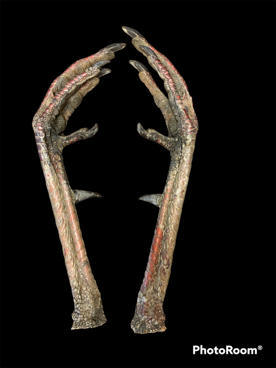 Turkey Feet Matched Pair with Spur's