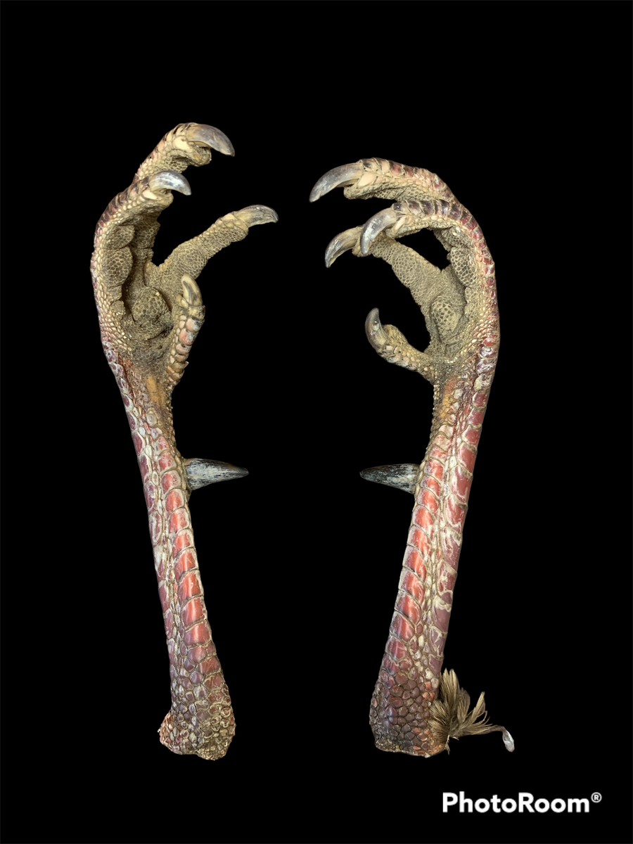 Turkey Feet Matched Pair with Spur's