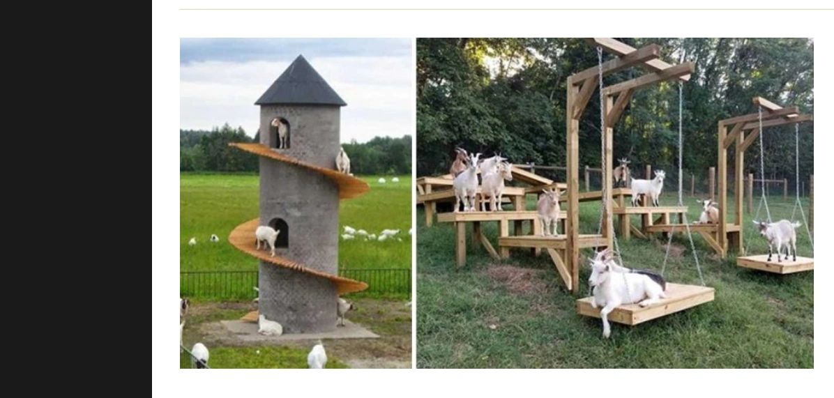 Toys For Goats To Keep Them Busy