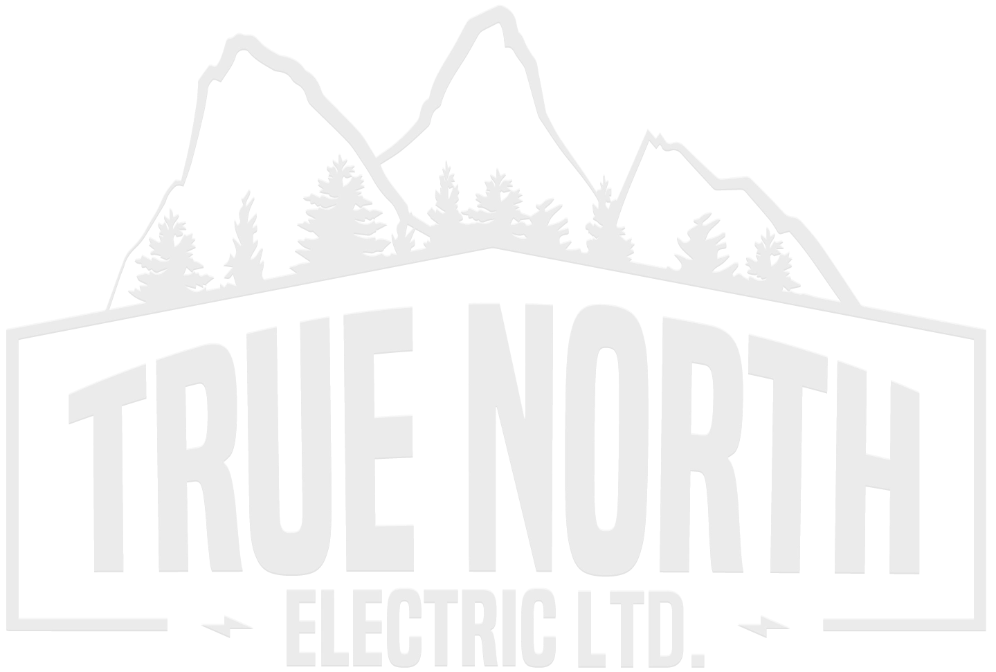 True North Electric Ltd