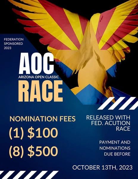 ARIZONA OPEN CLASSIC AND AUCTION RACE!