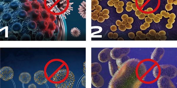 Phomi USA-Econic clay panel