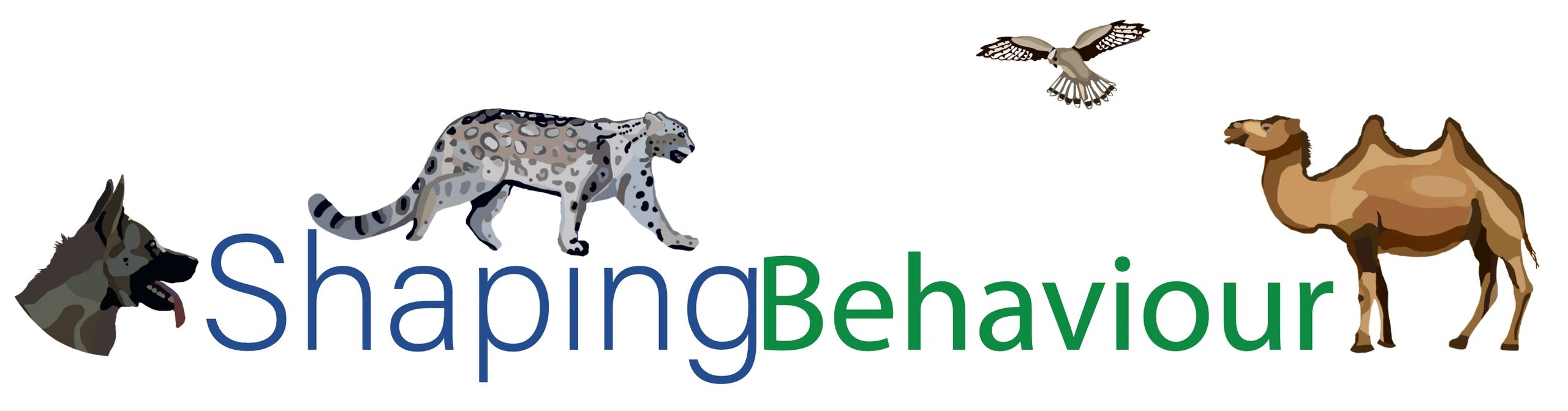 Education | Shaping Behaviour