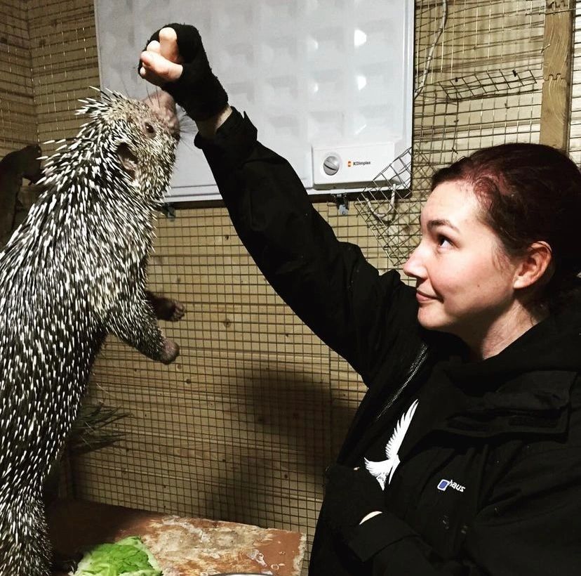 Why do we train animals under human care?