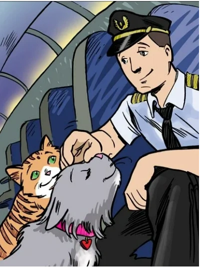 First Class Cats