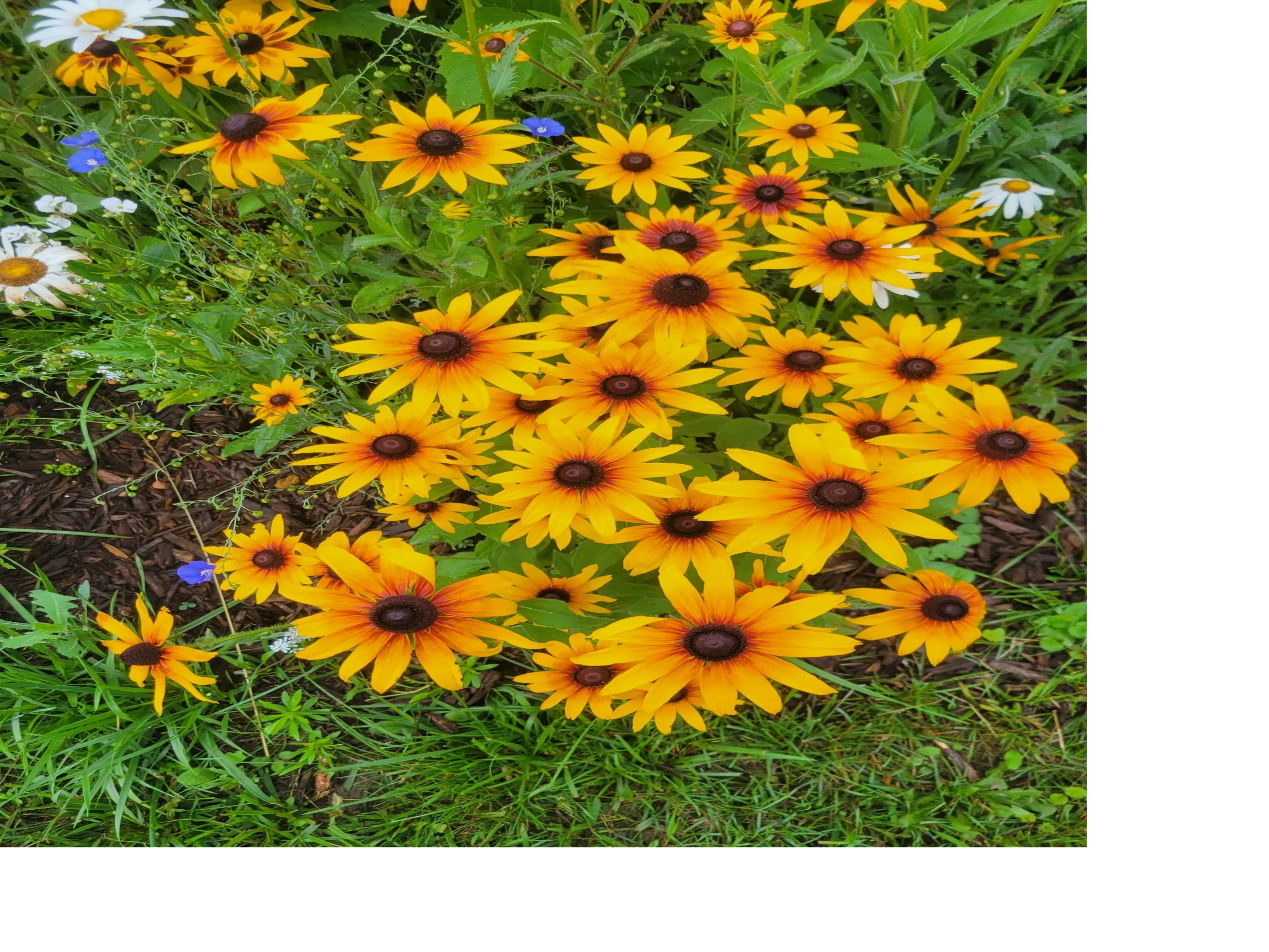 K Squared Property Services - Lawn Care, Snow Removal, Snow Plow