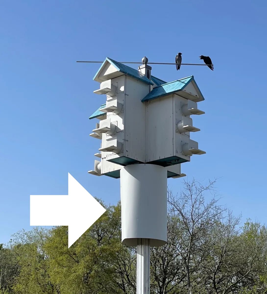 T-14 Purple Martin House Predator Guard