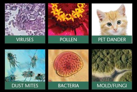 Air Duct Cleaning - Duct-Tec - Charleston, South Carolina | Duct-Tec