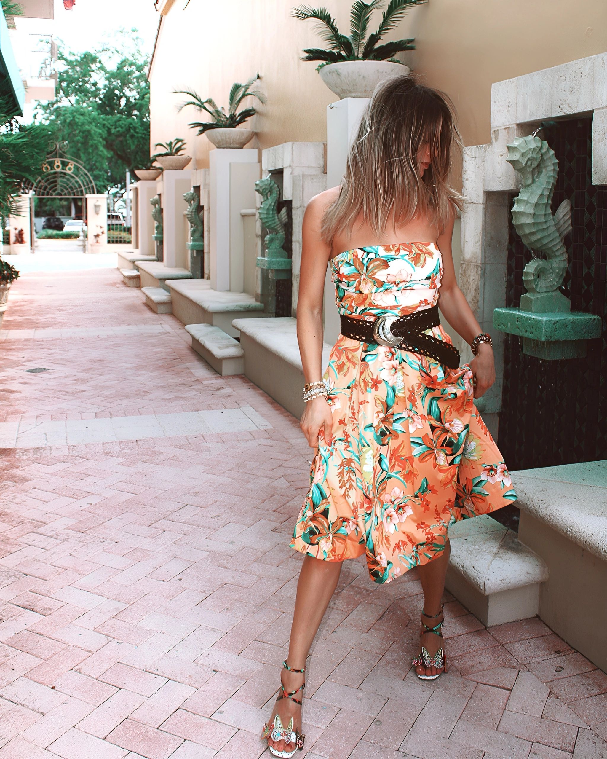 Dimity Star Essentials