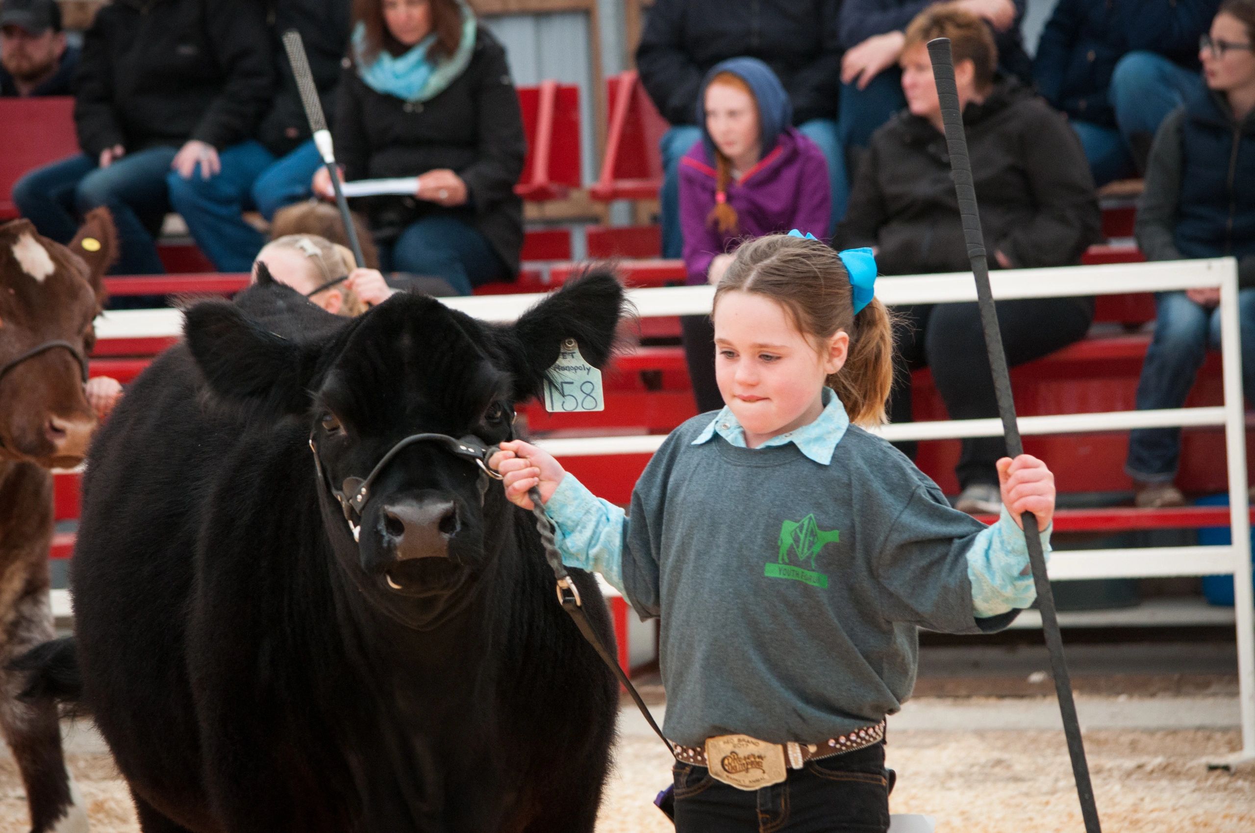 About US | Phillips Cattle Company