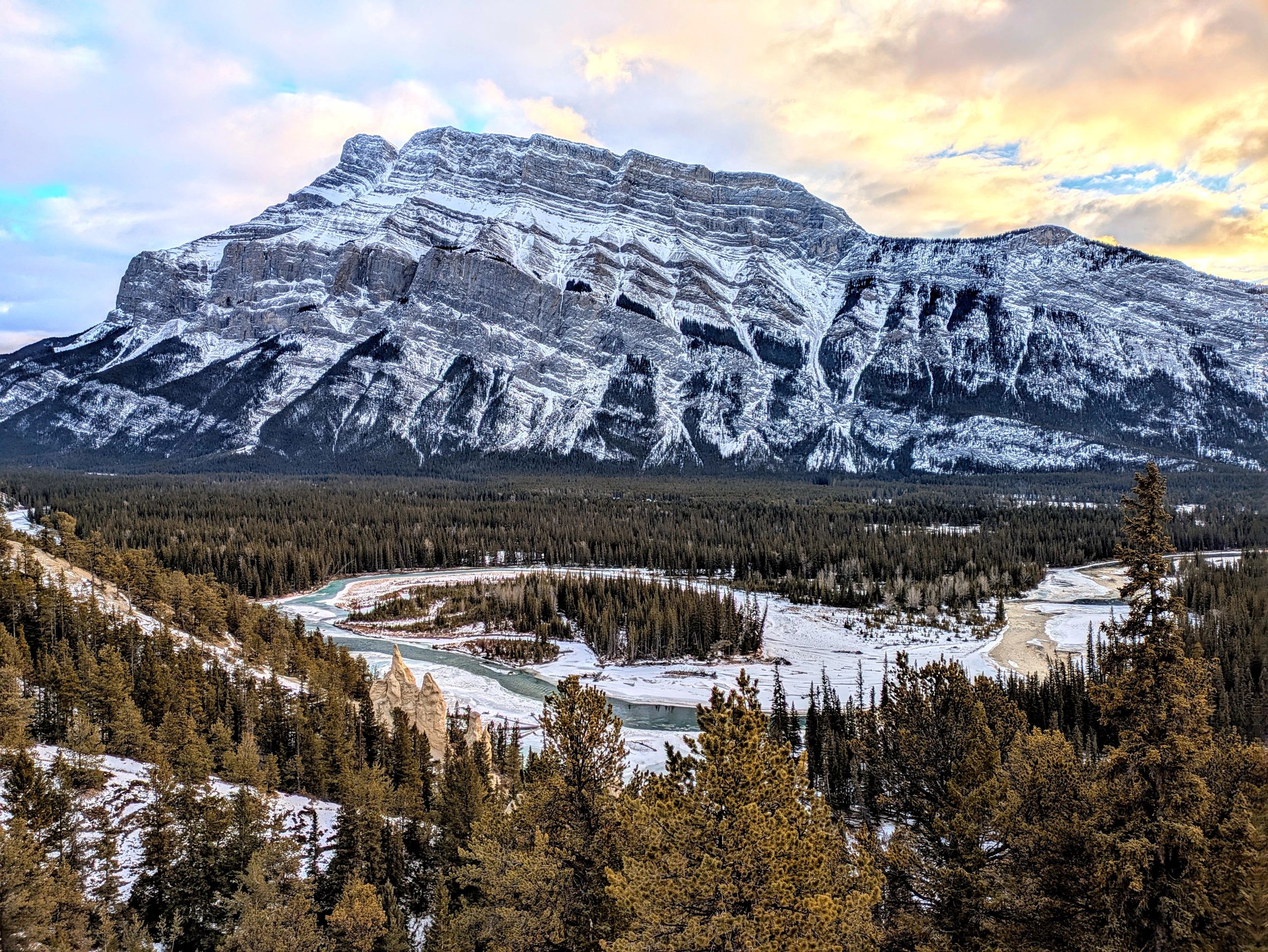 Mackenzie Collins Portfolio