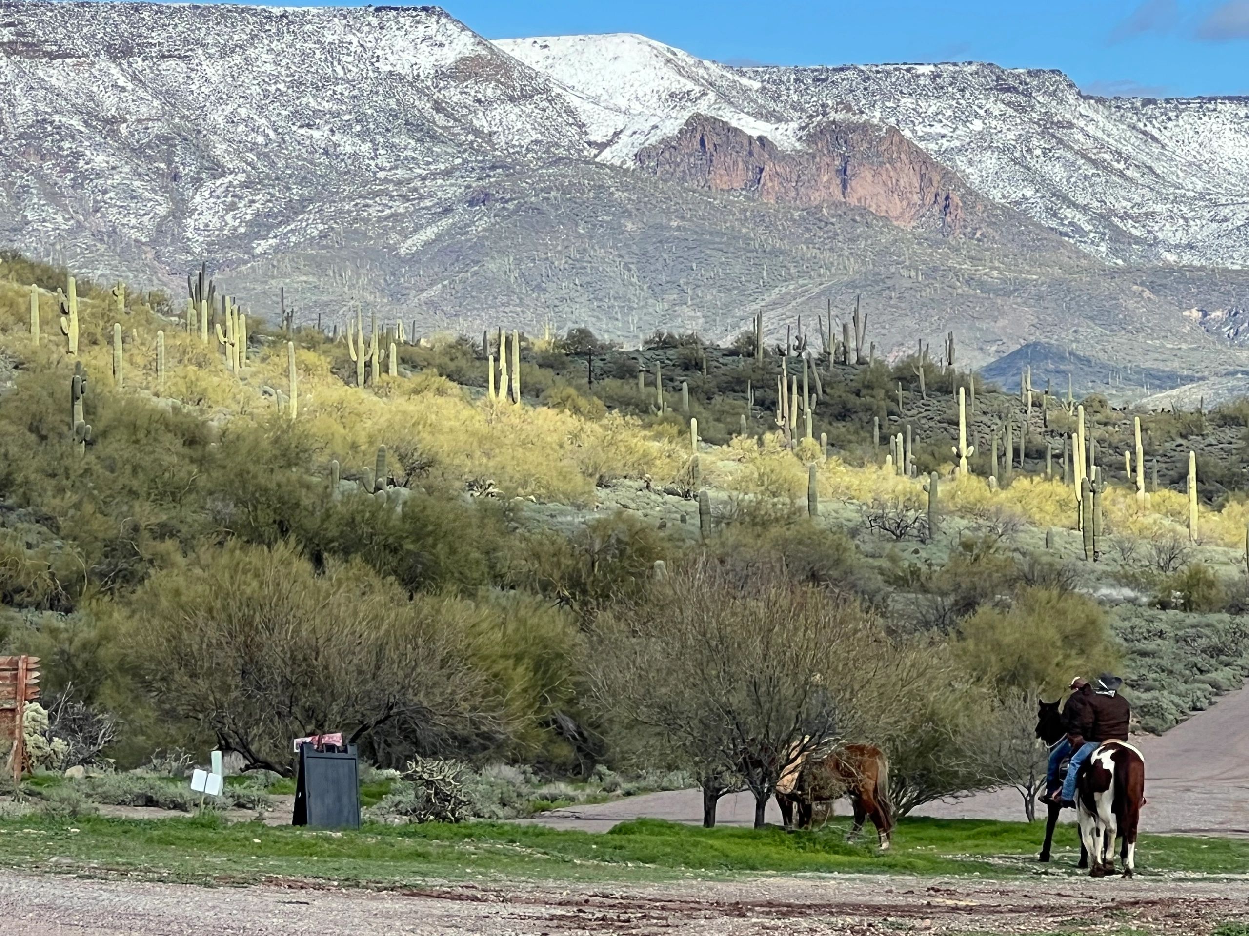 Experience the Thrill of Horseback Riding at WildWestTrailRides.com