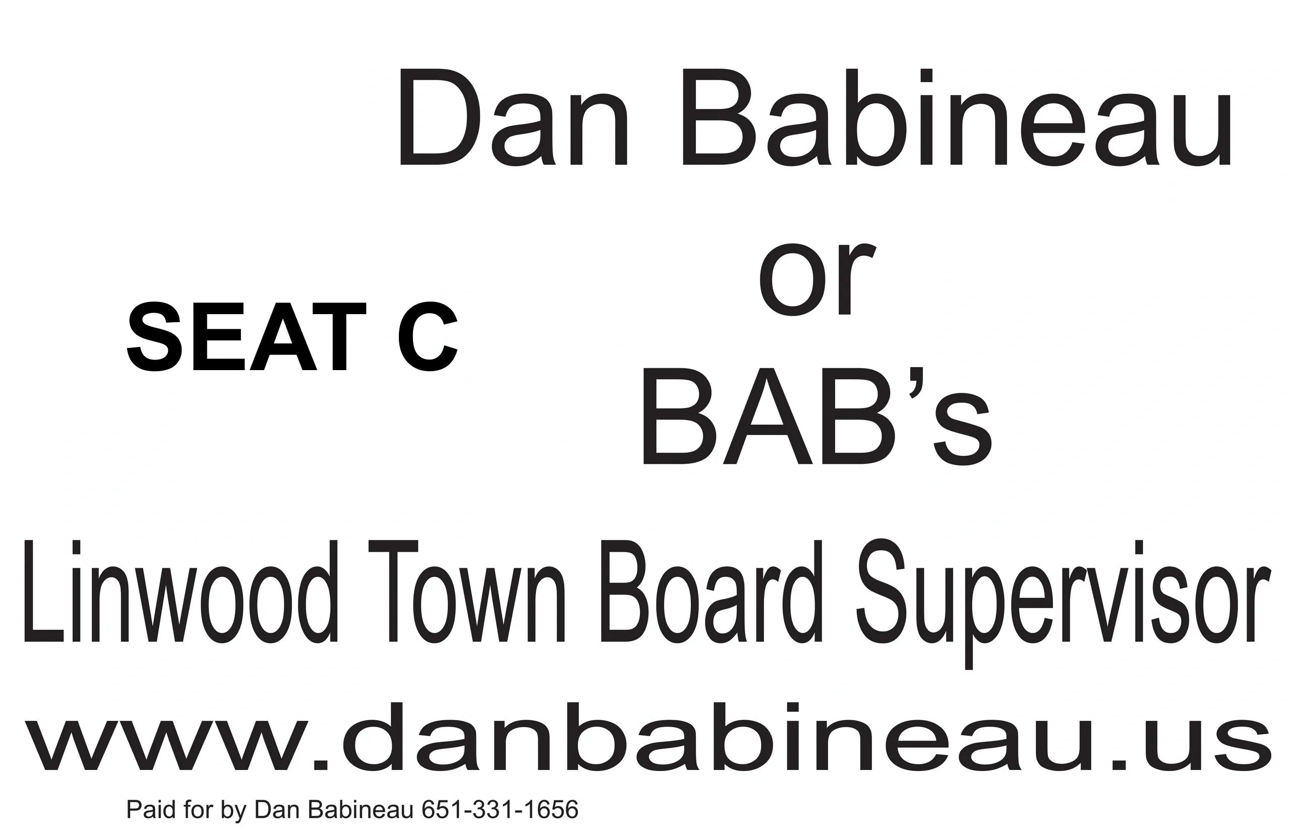 Dan Babineau - Wite In Linwood MN Town Board