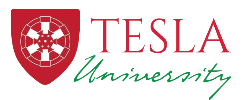 Day 8 - Projects | Tesla University