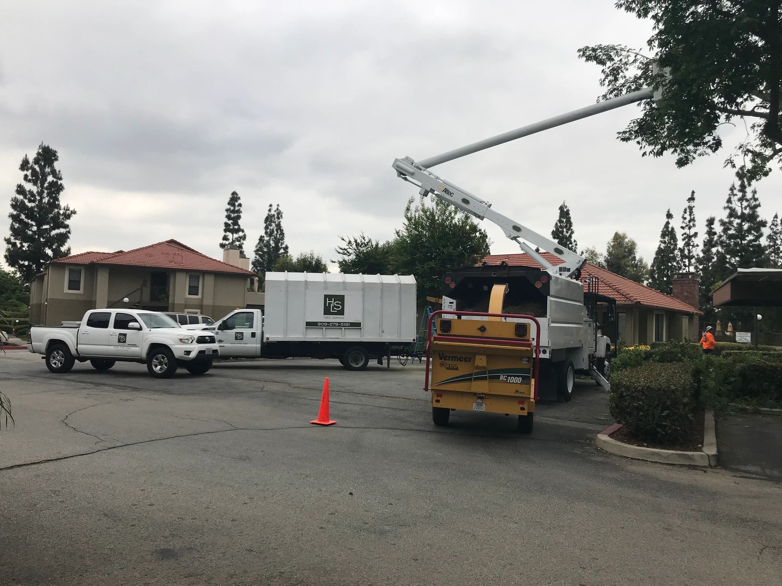 Top Tree Service In Jurupa Valley