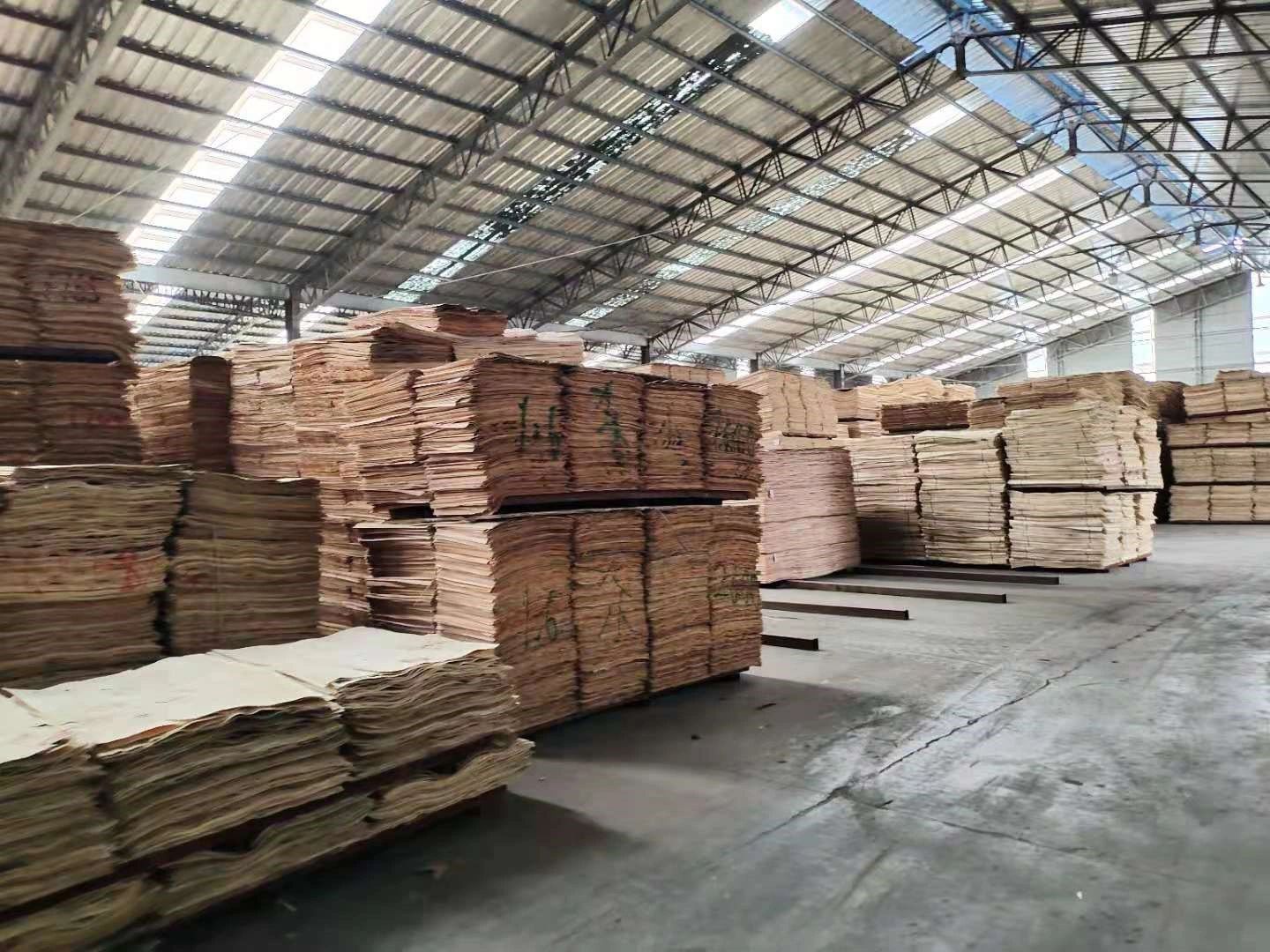 CONSTRUCTION PLYWOOD
