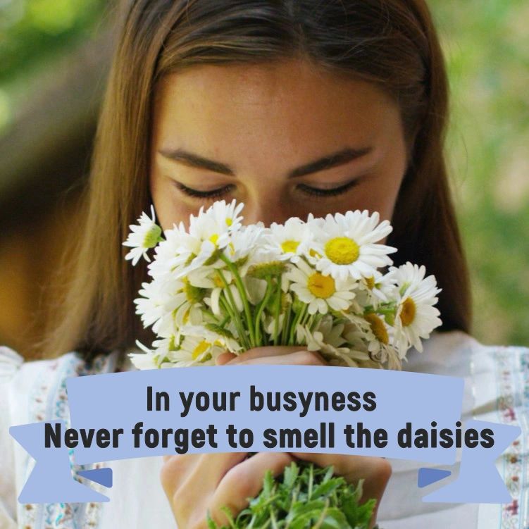 Stop and Smell the Daisies -by Lois Macdonald