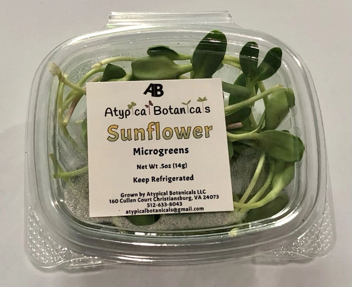 Sunflower Microgreens