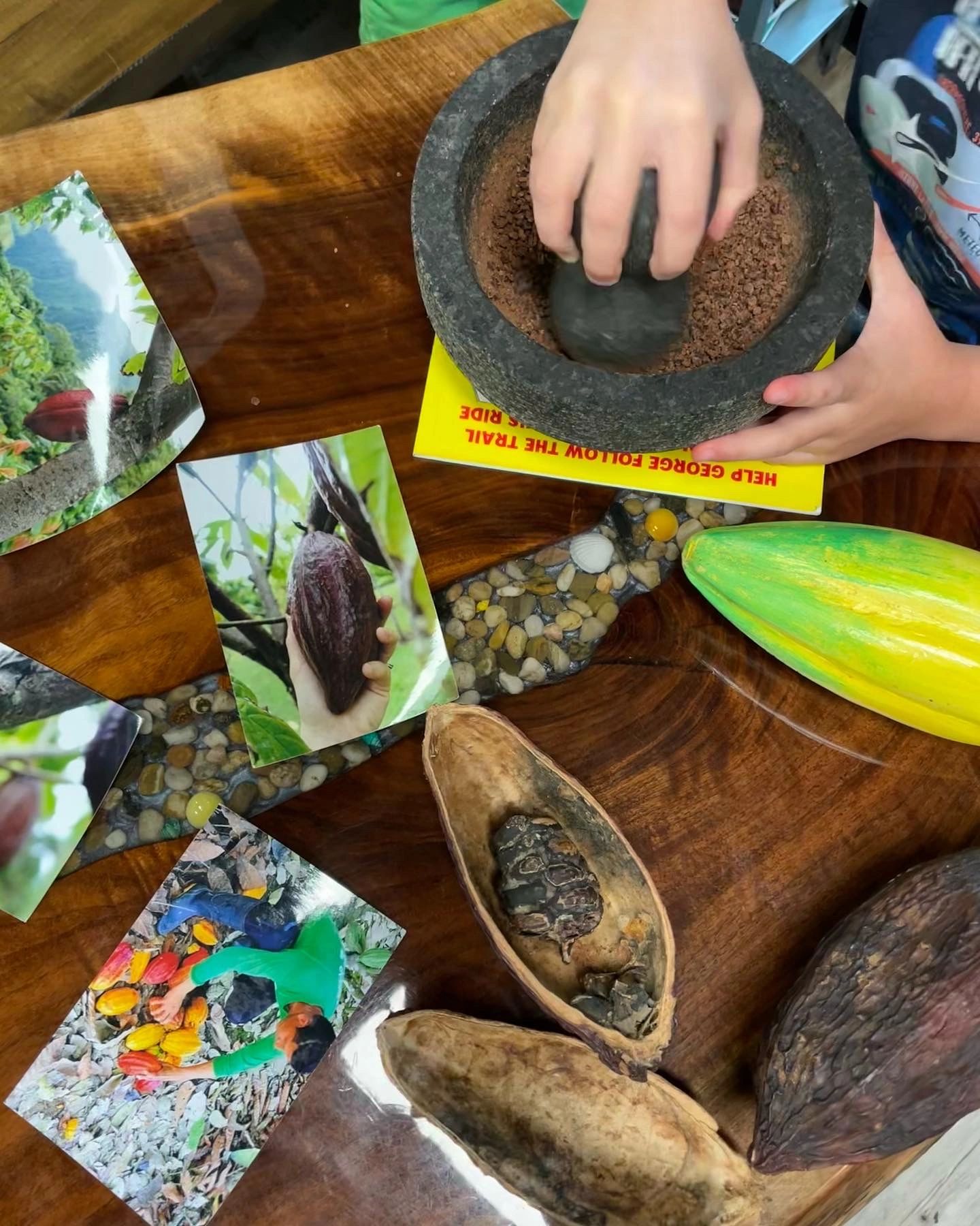 All About Cacao: Learning how chocolate is made from bean to bar