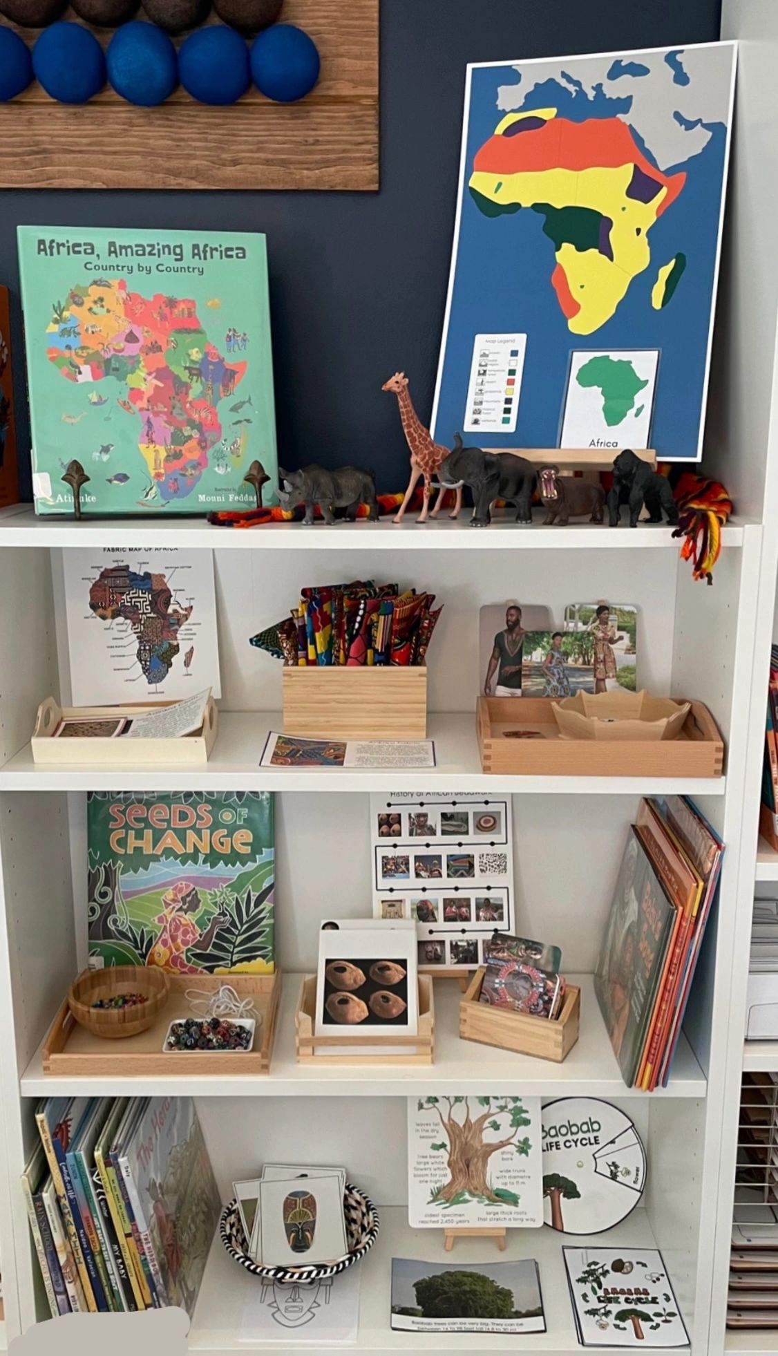 Continent Study: Africa