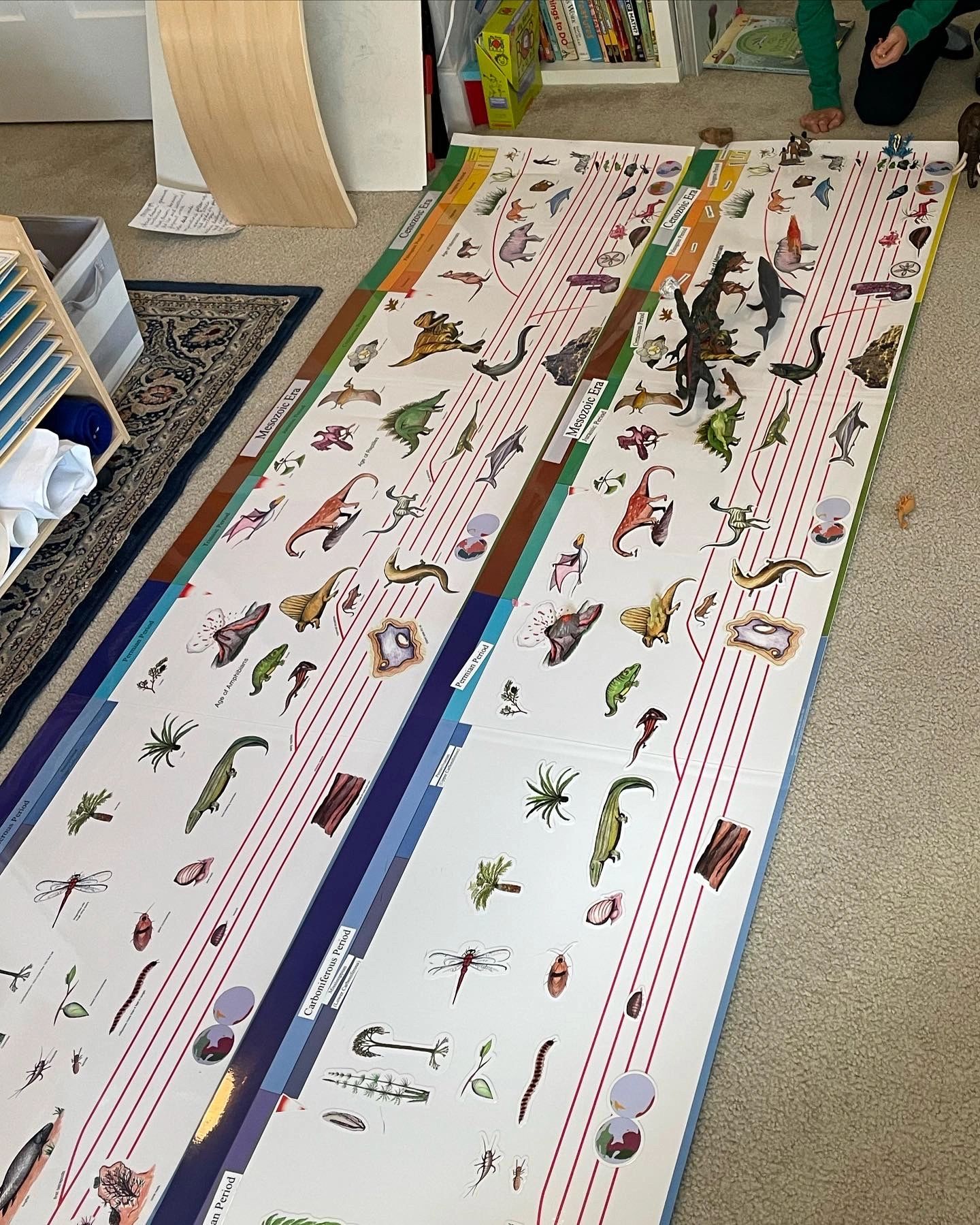 Montessori 2nd Great Lesson: The Coming of Life