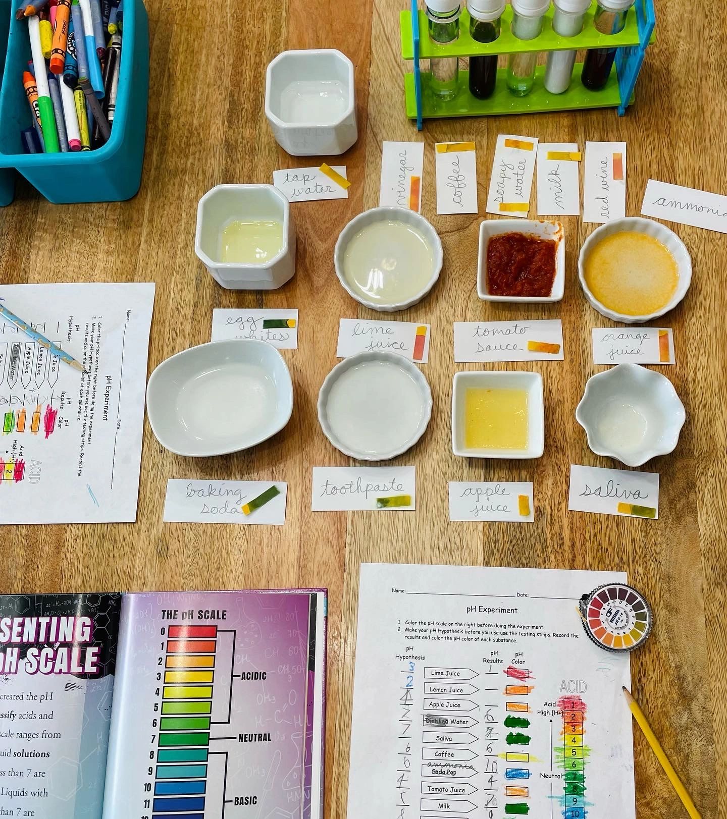 Intro to the pH Scale