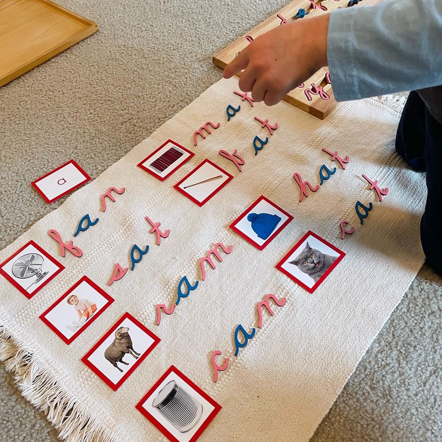 Starting the Waseca Reading Program